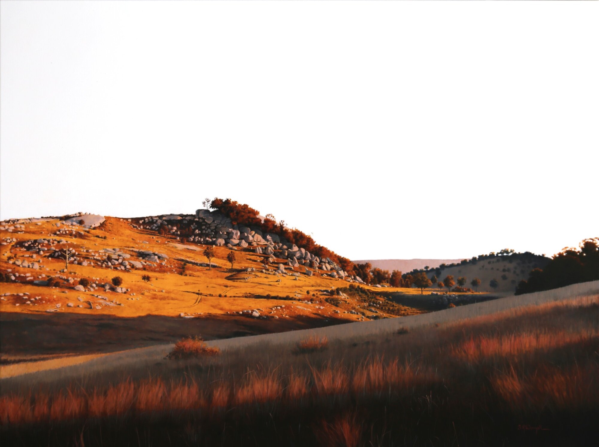 Adult 2023 - The Doyles Art Award