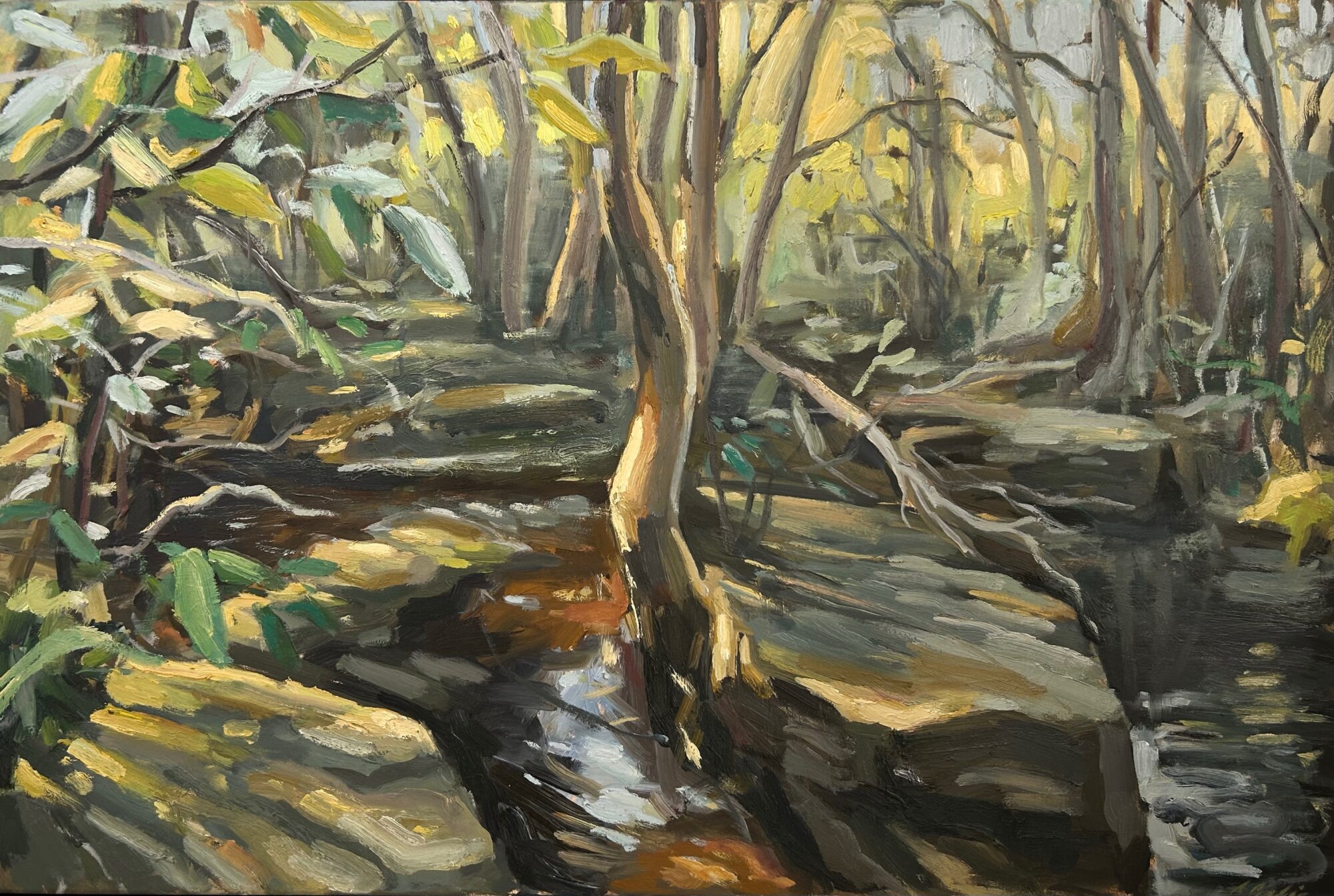 Gully’s creek - The Doyles Art Award