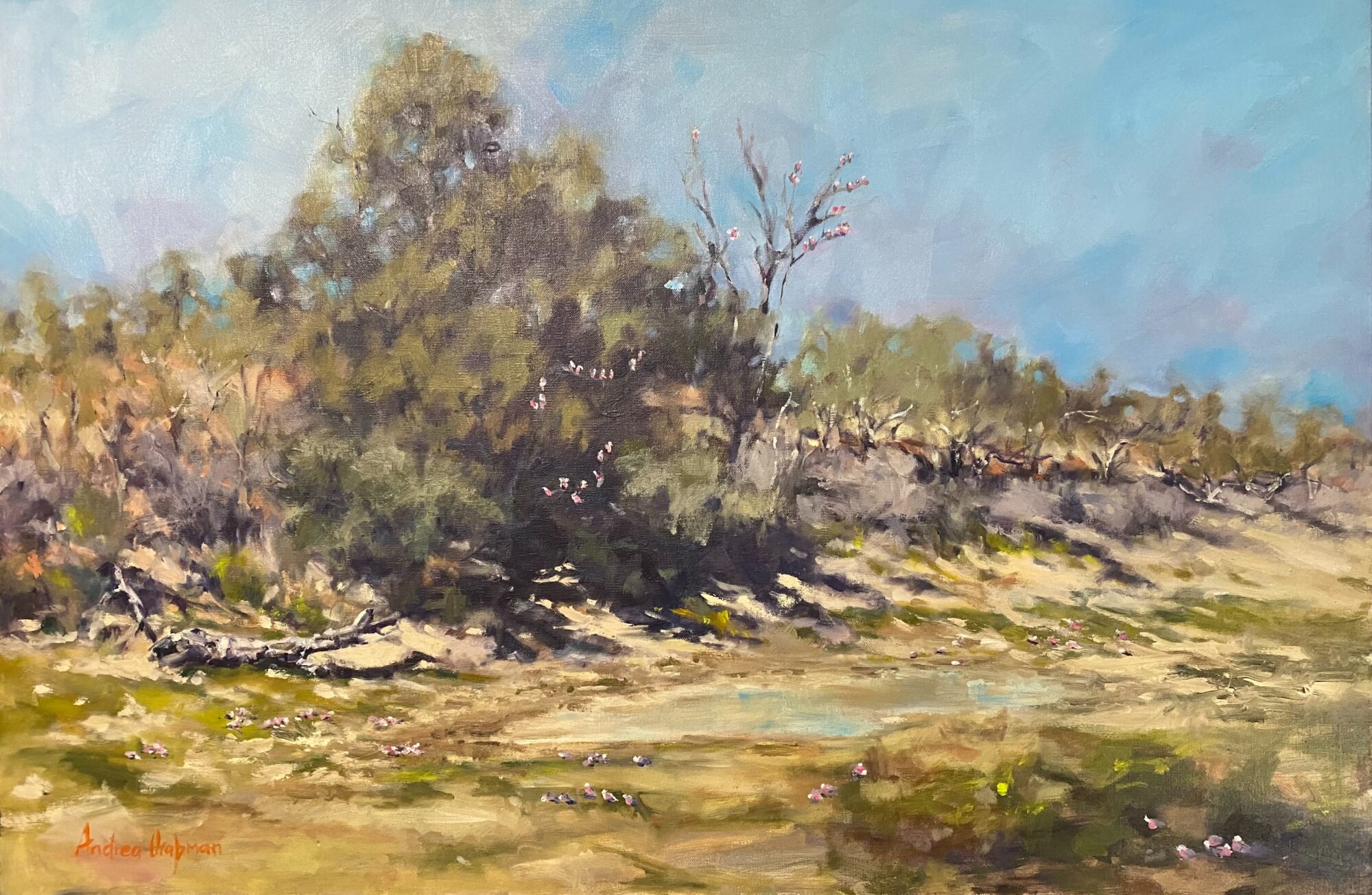 Galahs on the Edge - The Doyles Art Award