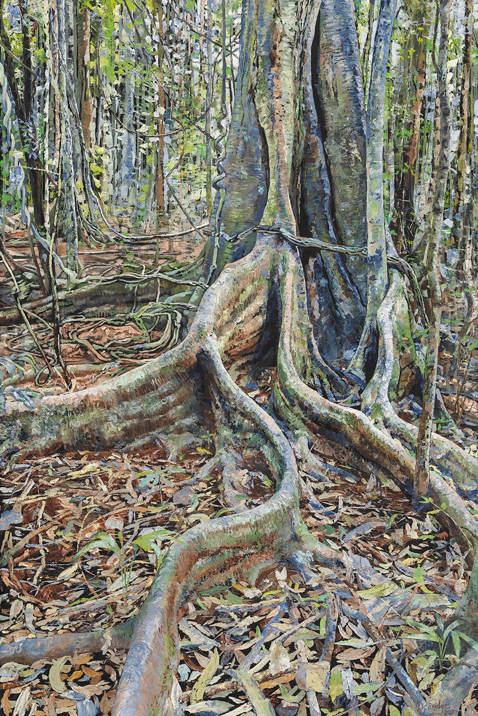 Fig Tree - The Doyles Art Award