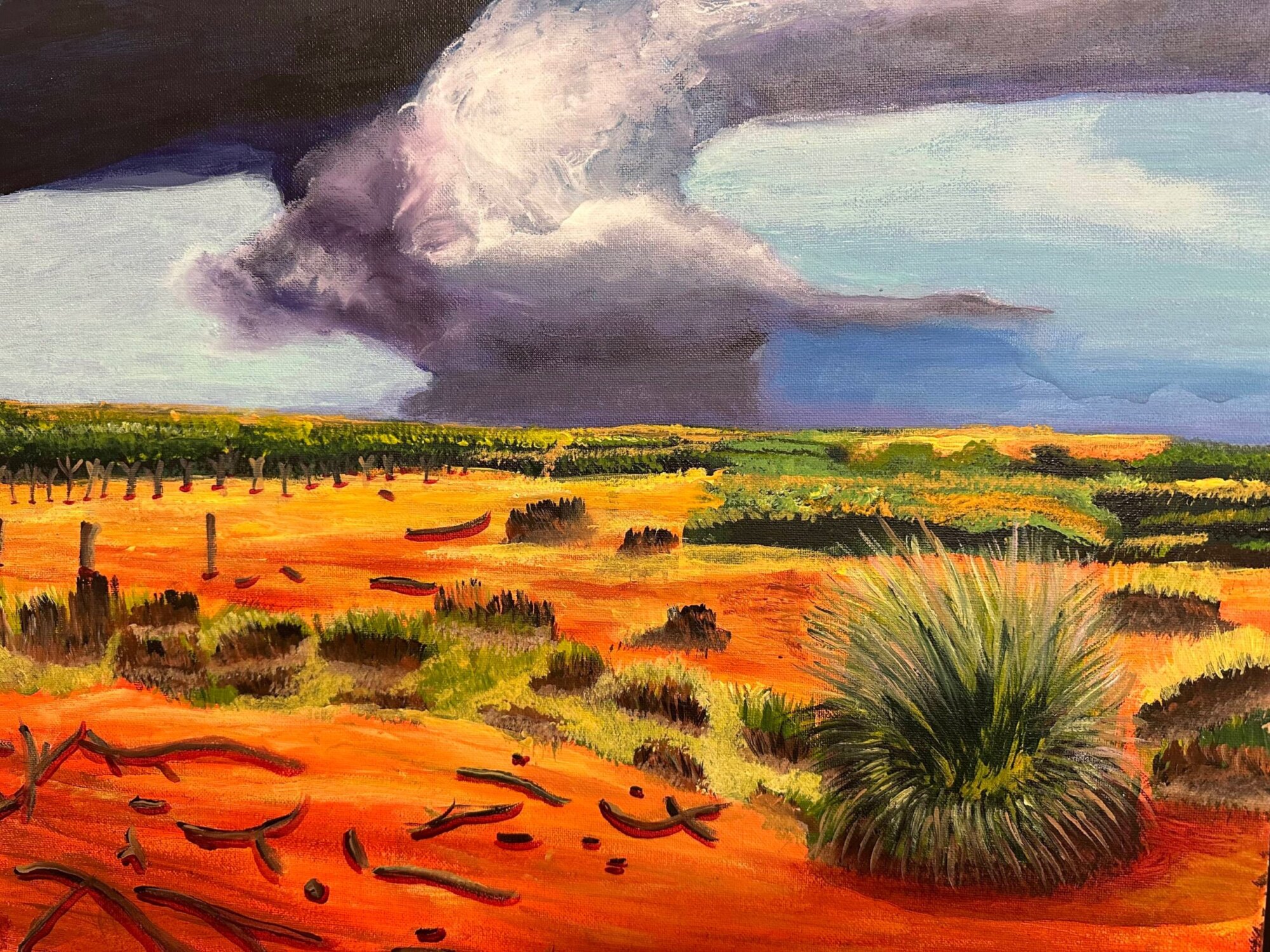 Storm through the Australian Outback. - The Doyles Art Award