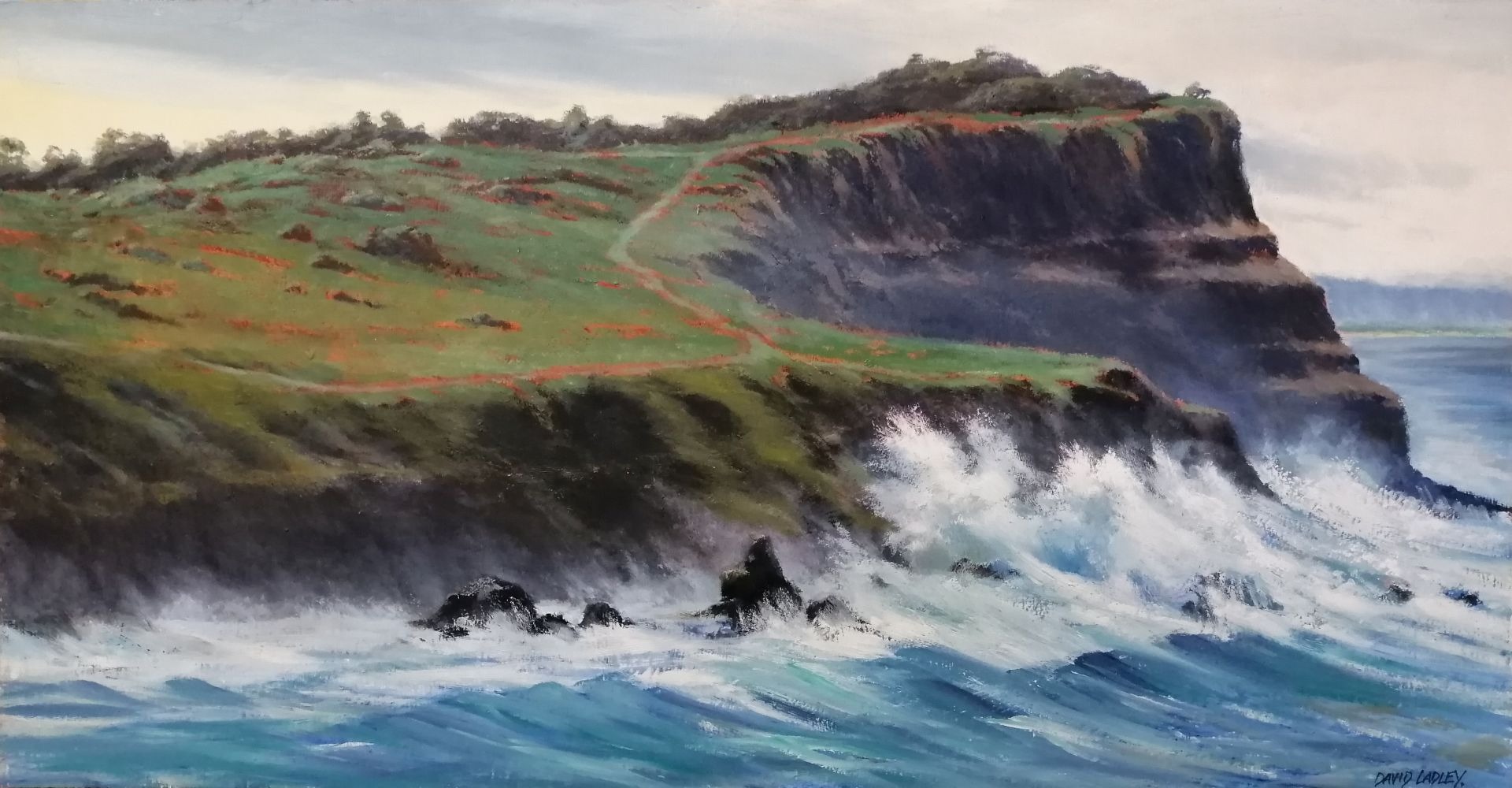 Wild Coast - The Doyles Art Award