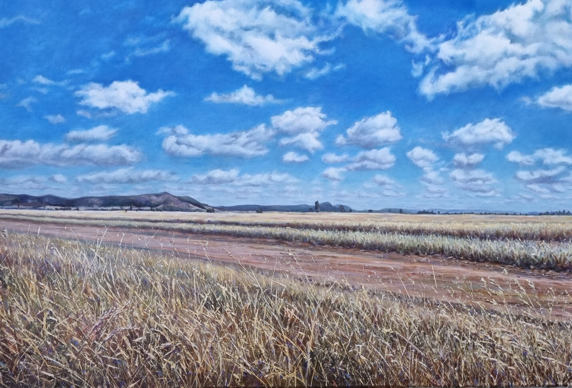 Arcadia Valley, Central Queensland - The Doyles Art Award
