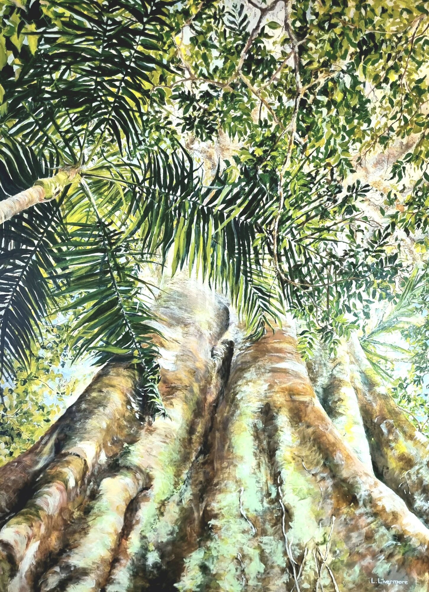 Looking Up - The Doyles Art Award