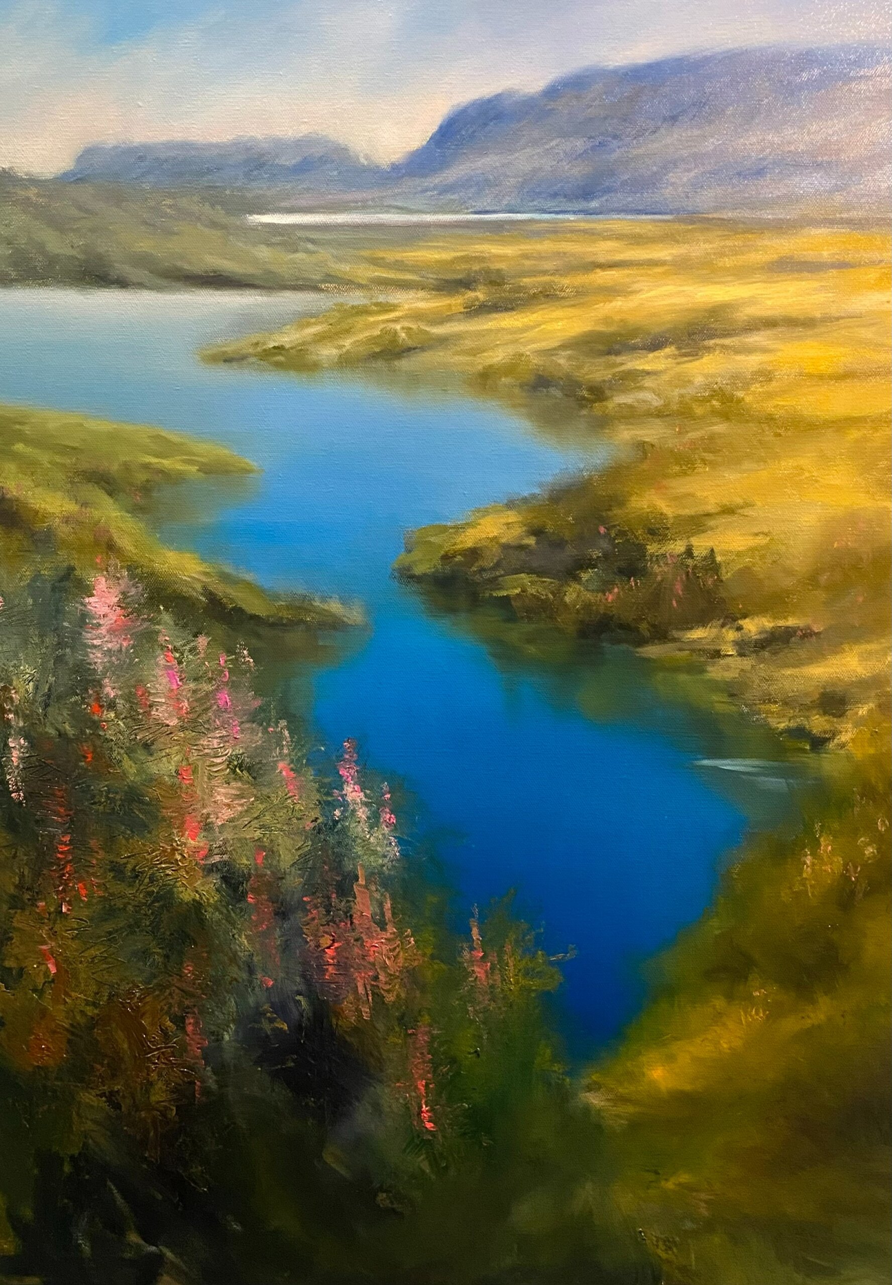 Walls Scoparia - The Doyles Art Award