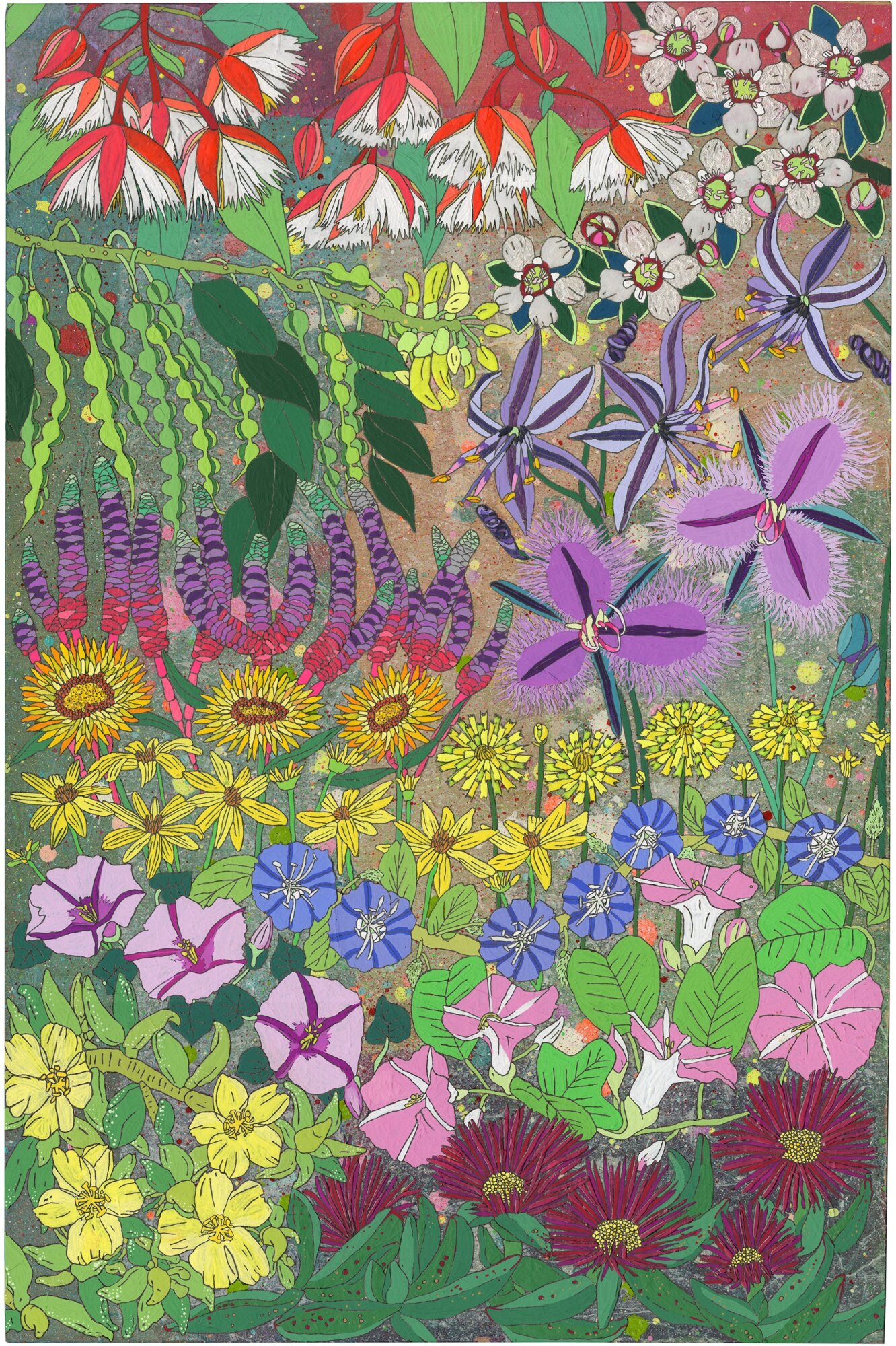 FLOWERS ON YUGAMBEH COUNTRY i - Coastal Dunes - The Doyles Art Award