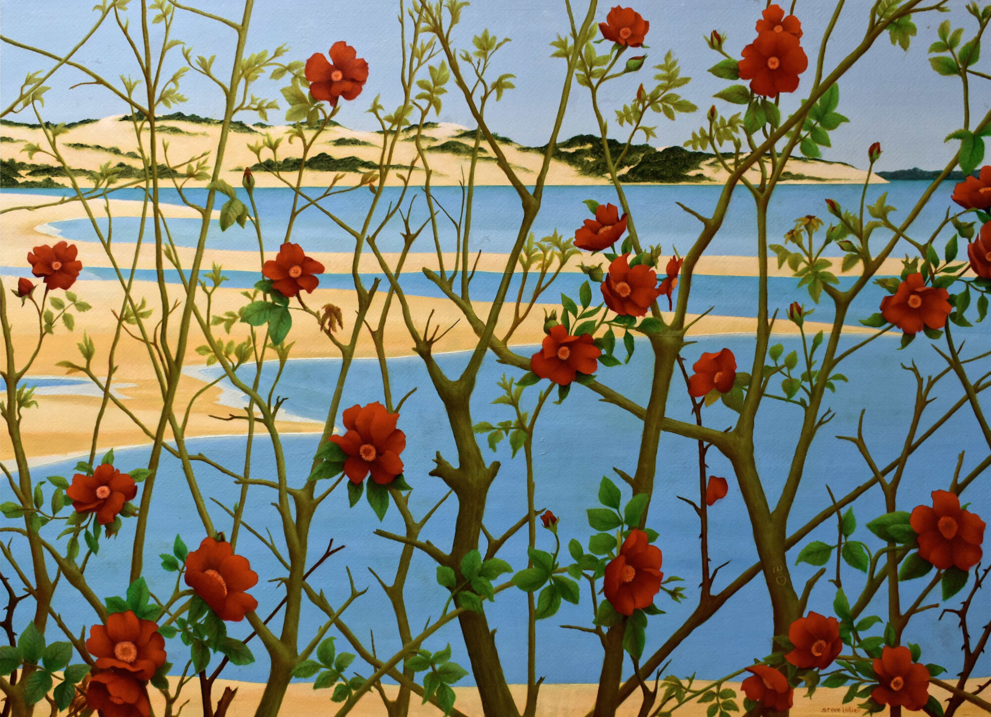 Where the wild roses grow, (for Elisa, Sorry Nick) - The Doyles Art Award