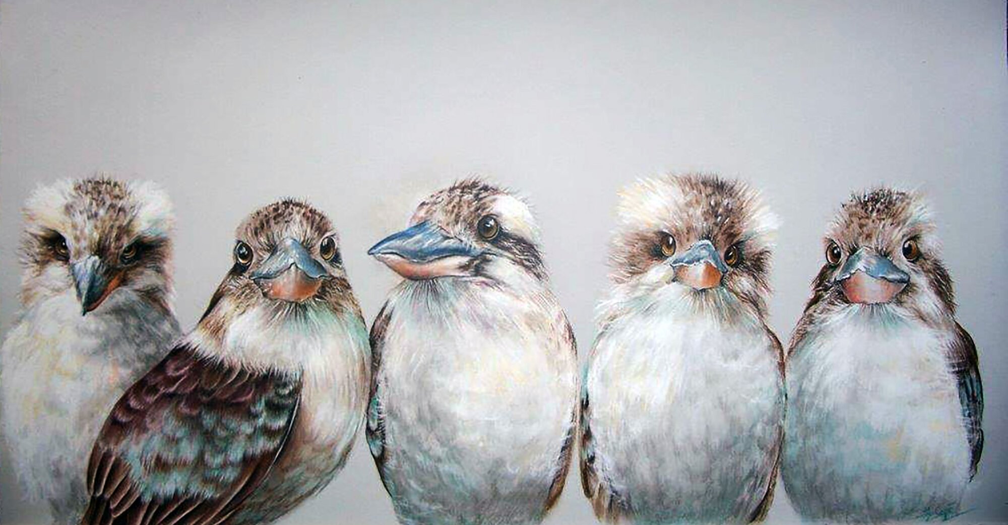 The Kookaburra Family from Nerang - The Doyles Art Award