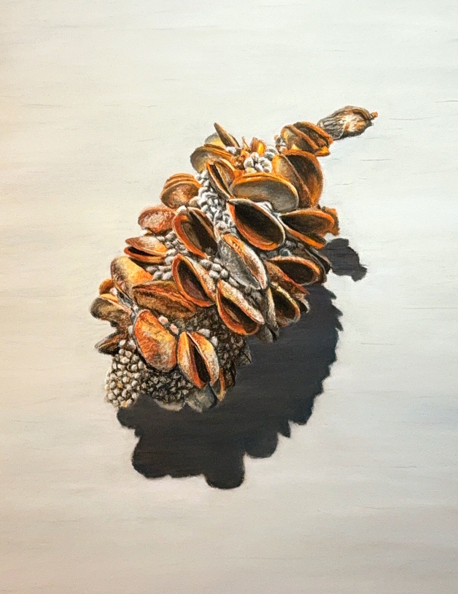 Where light falls - The Doyles Art Award