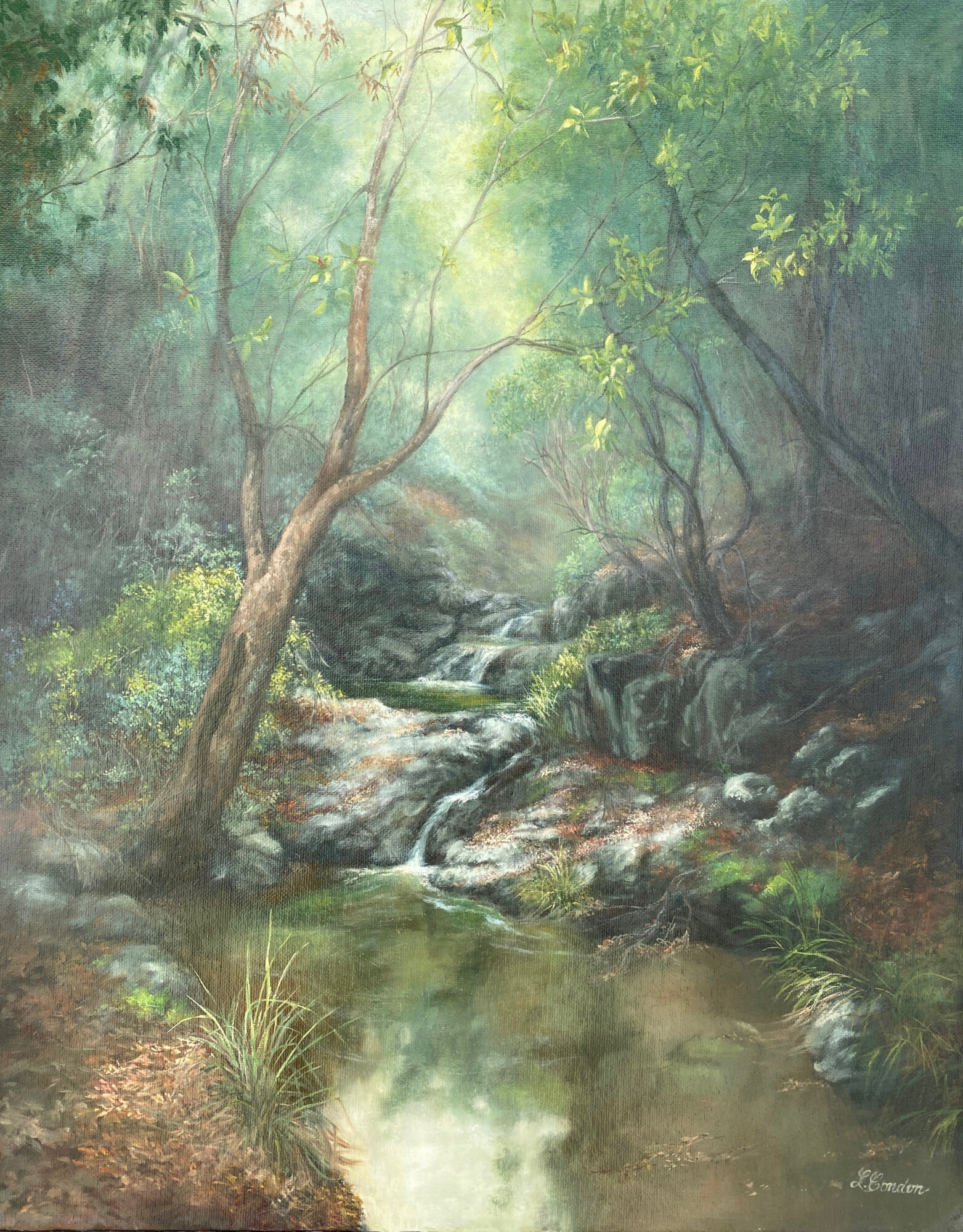 Pretty Gully, New South Wales - The Doyles Art Award