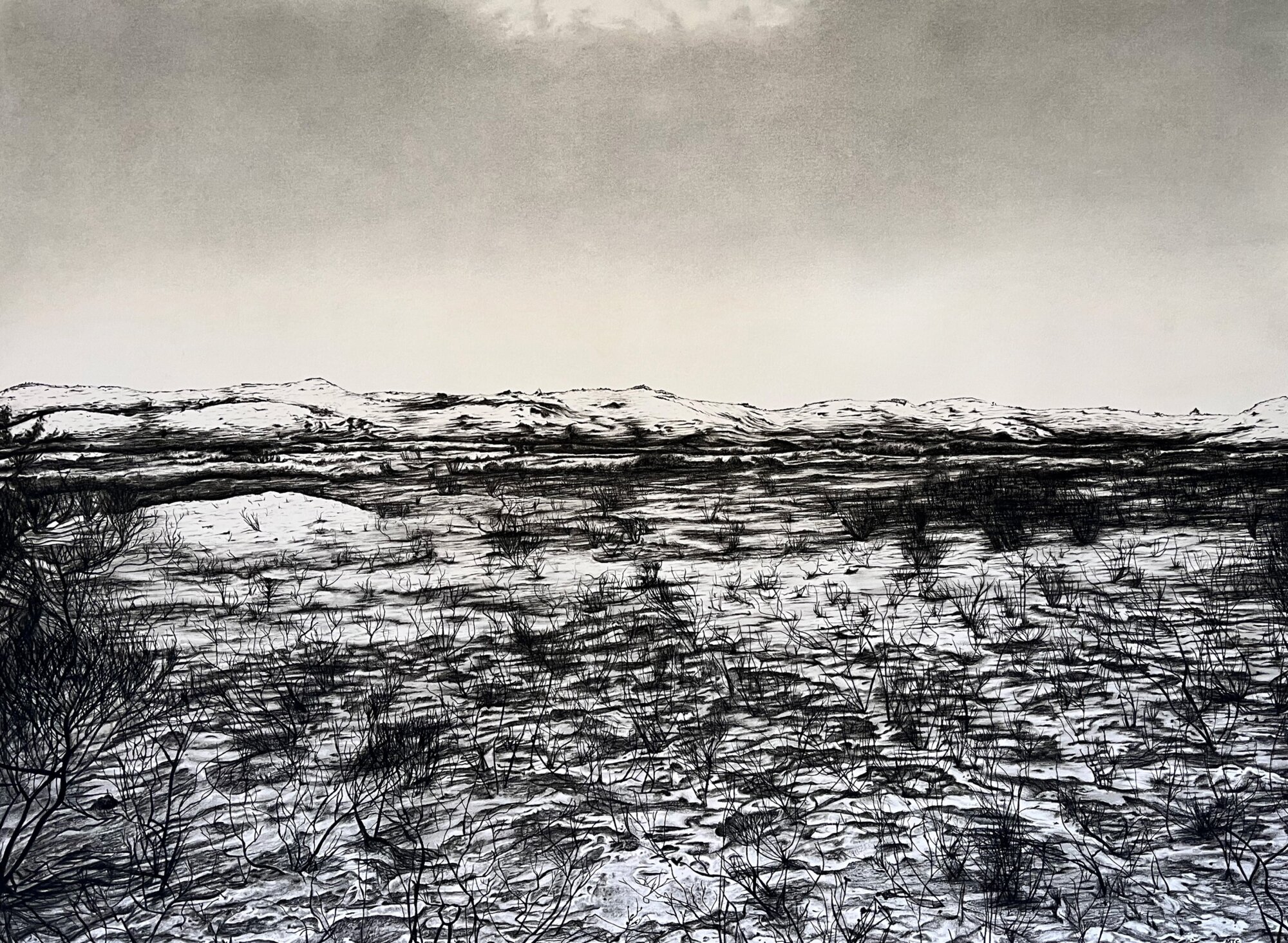 Wanagarren Ash - The Doyles Art Award