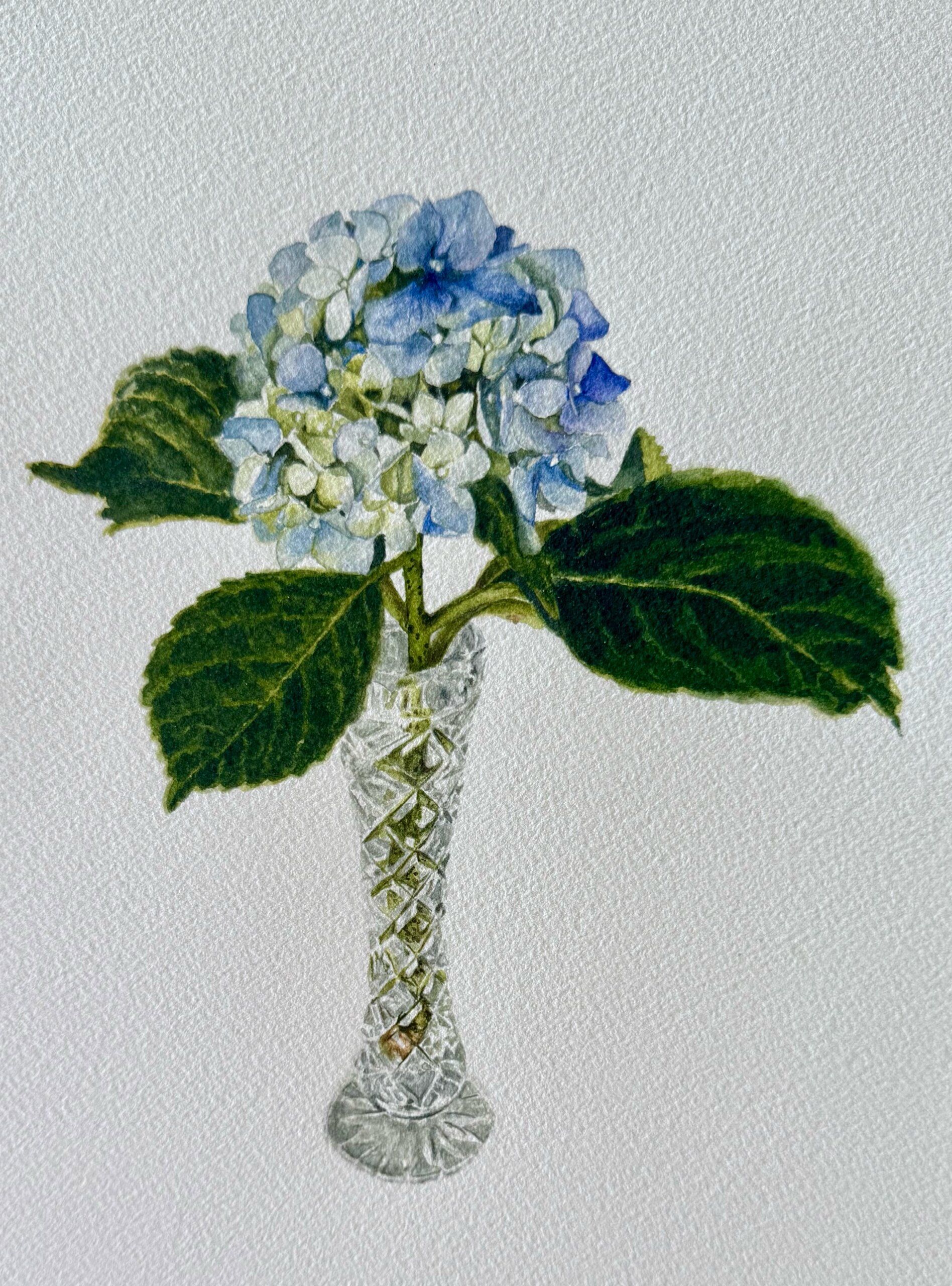 One stem, one story - The Doyles Art Award