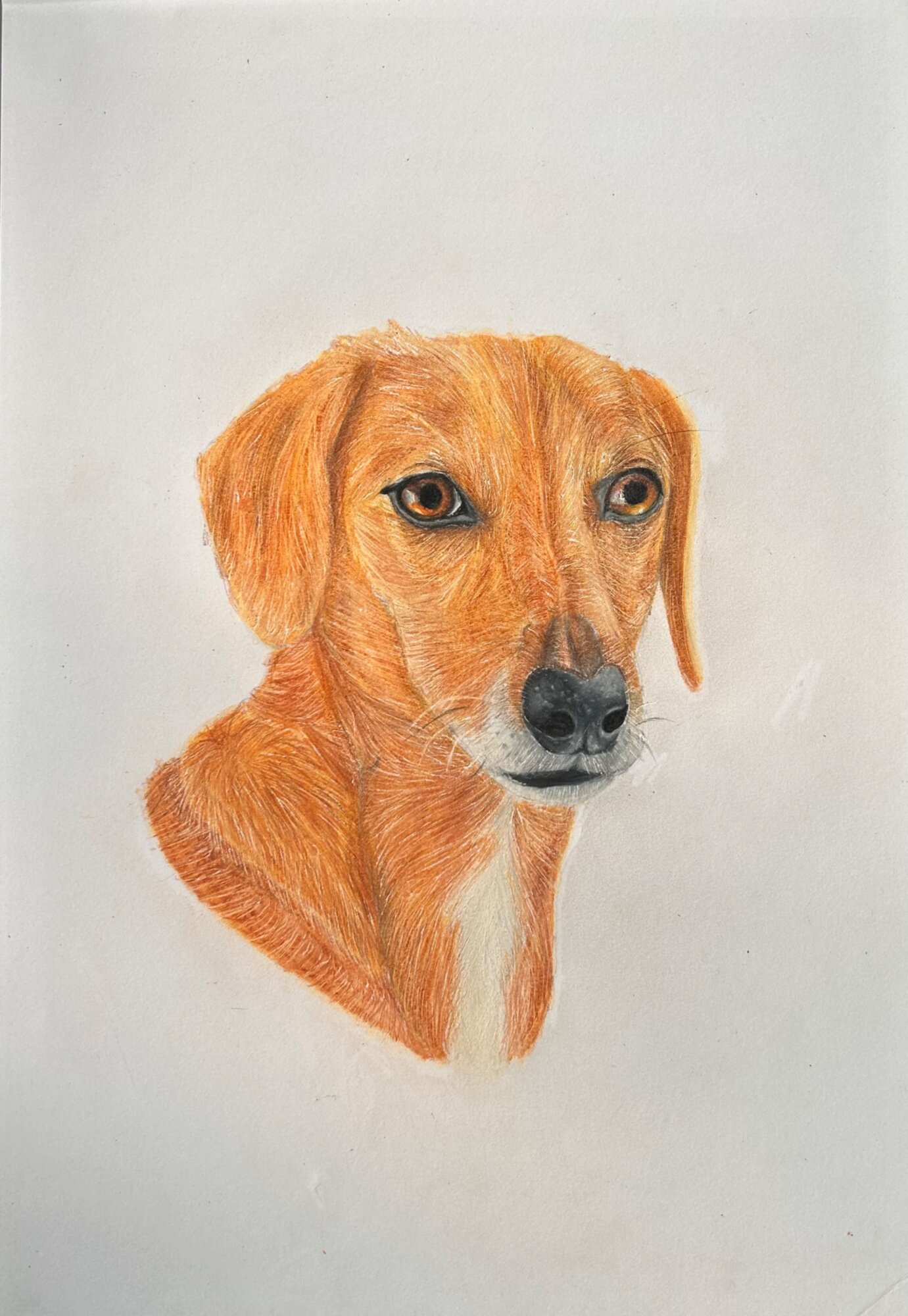 A Portrait of Winnie - The Doyles Art Award